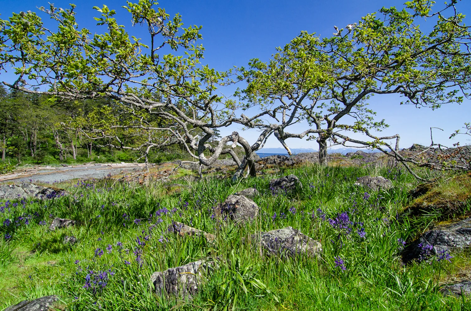 Fort Rodd Hill — LOCI