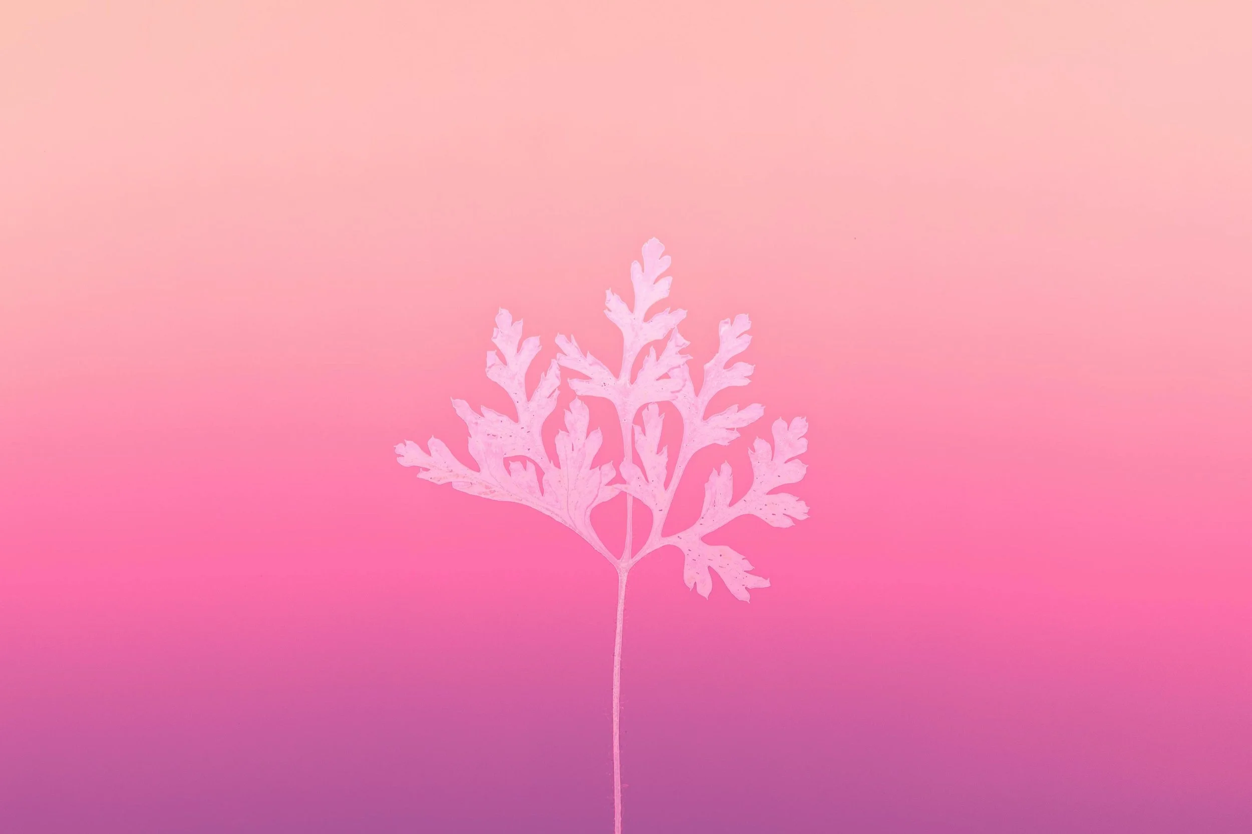 How To Stop Saying “I Hate Marketing” — Meighan O'Toole