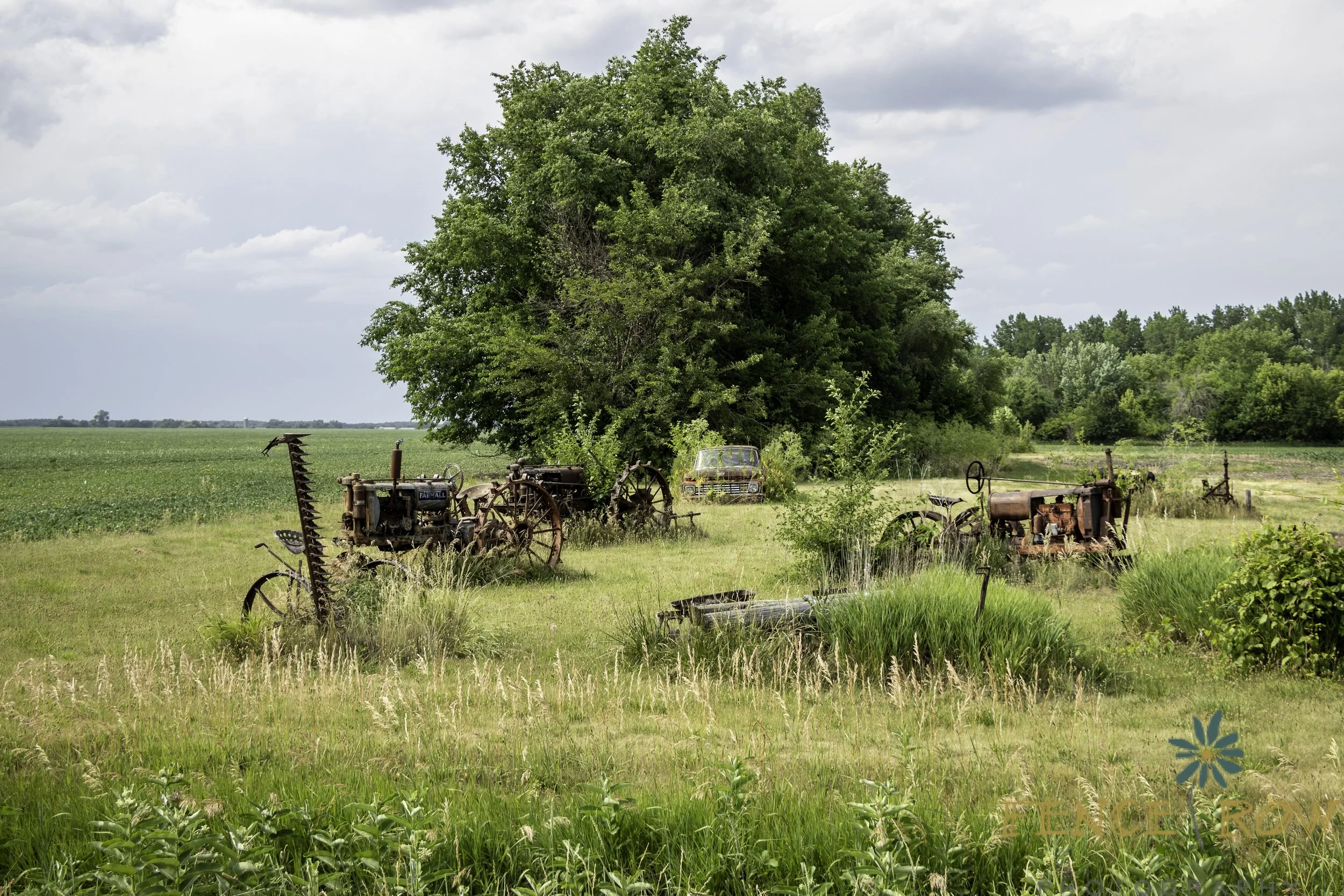 Fence Row Photography