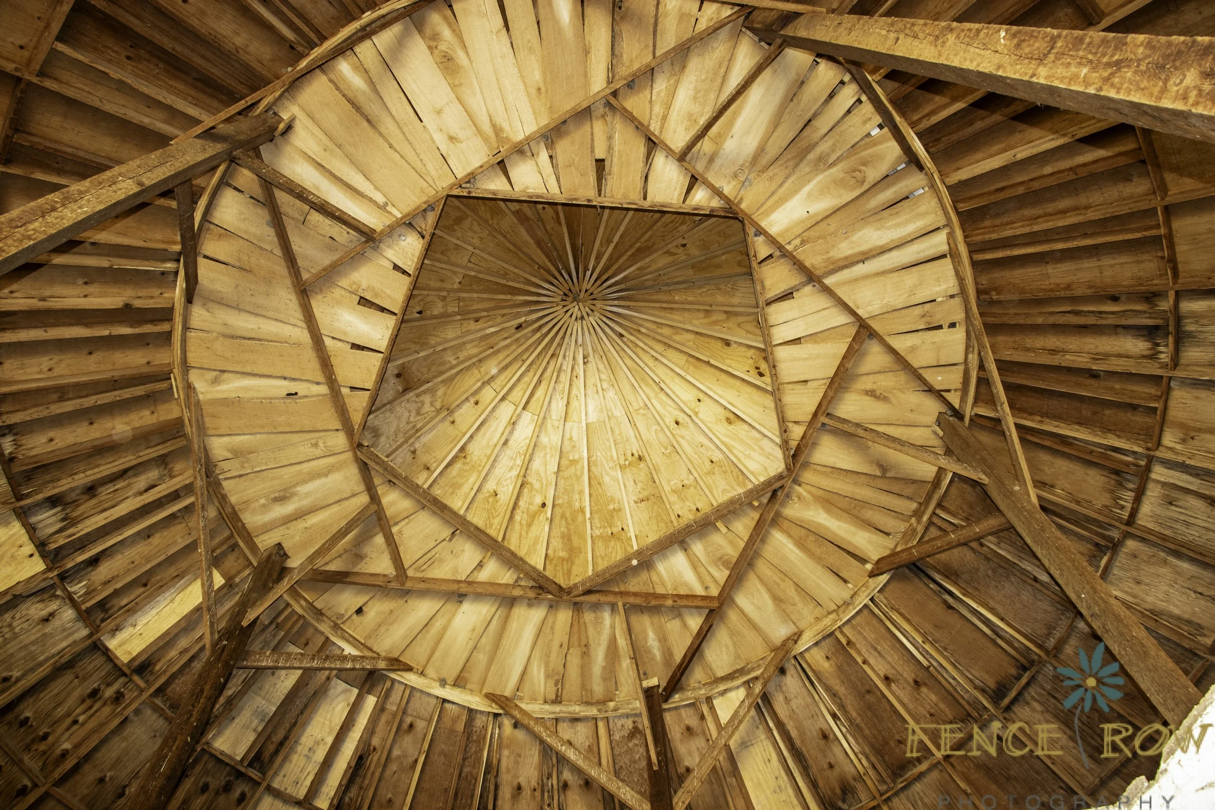 Fence Row Photography