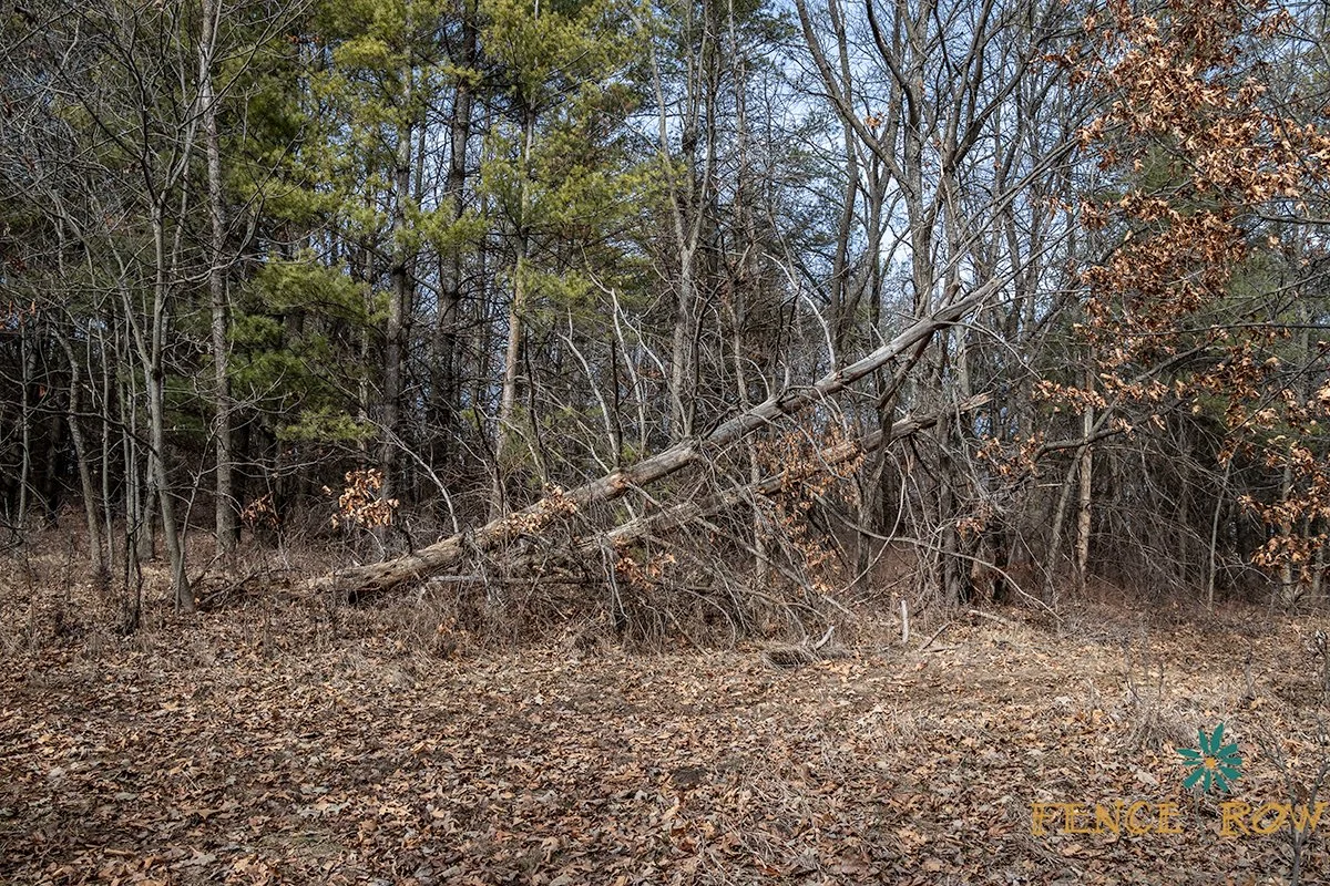 Fence Row Photography
