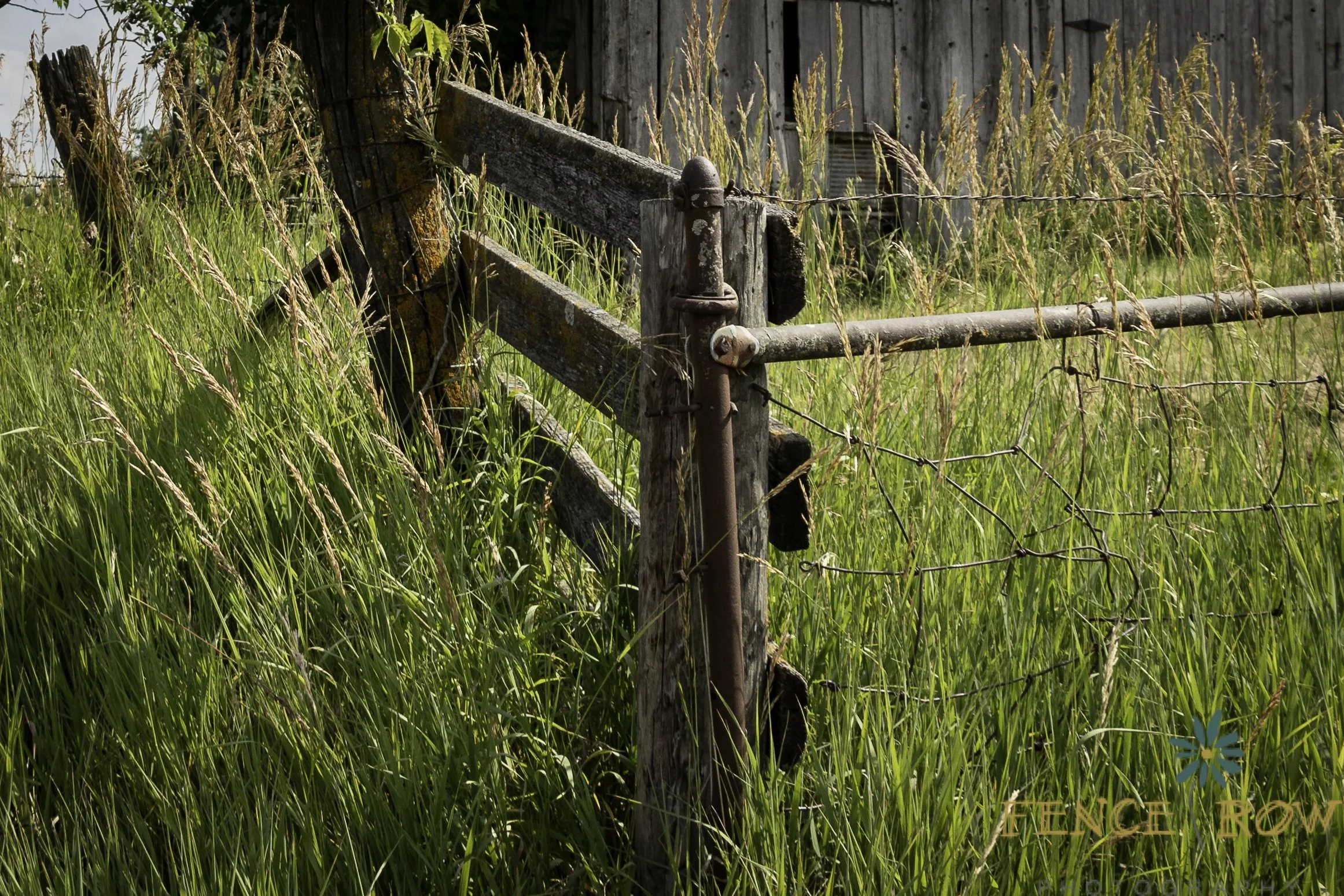 Fence Row Photography