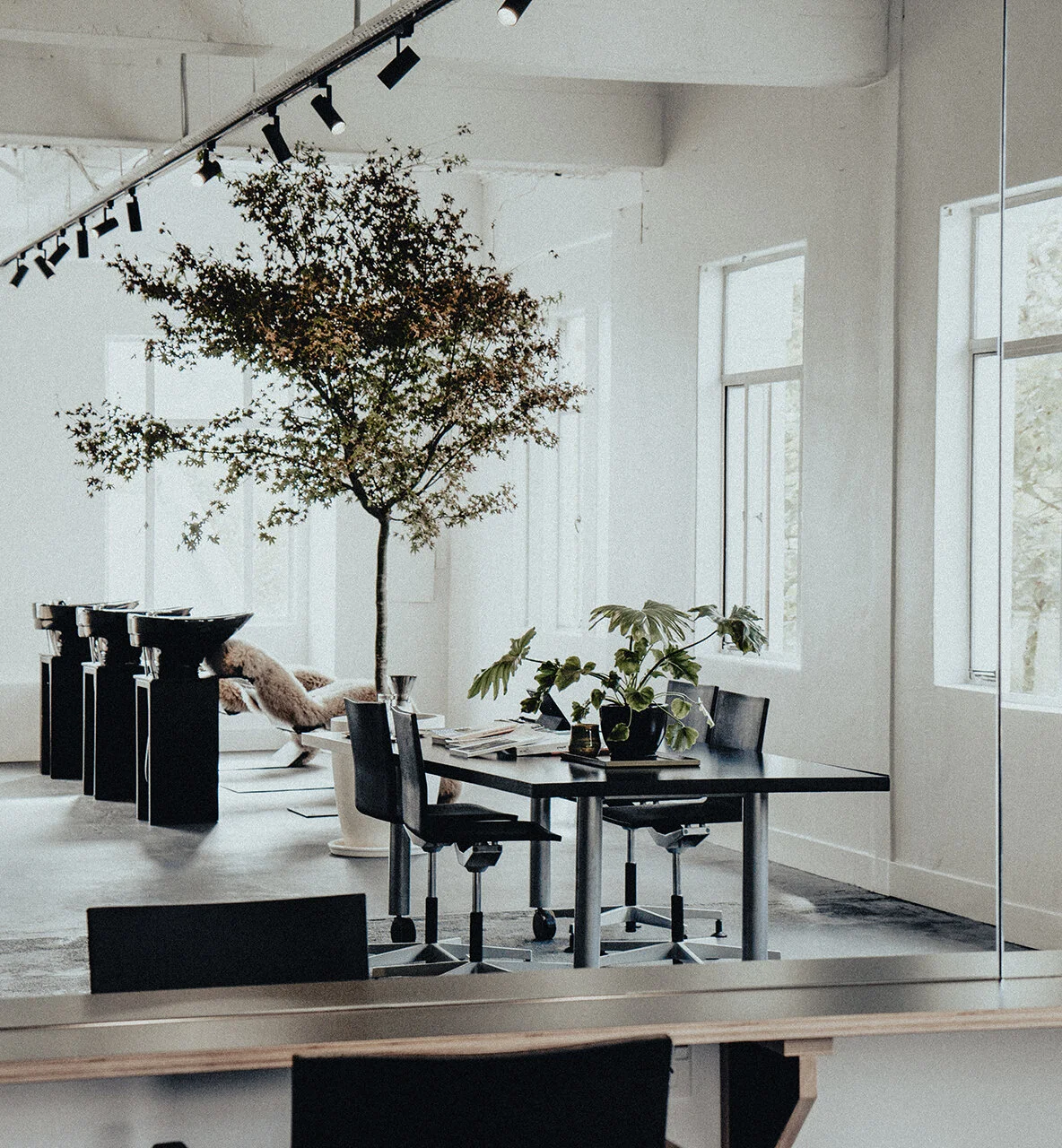 The Studio by Sam