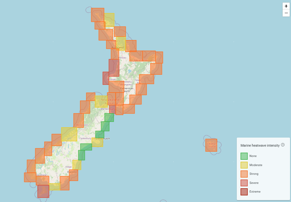 Marine Heatwave predictions added to SwellMap — MetOcean Solutions