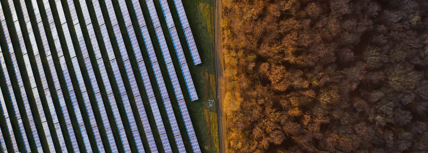 Solar Energy | Solar Farm Site Design | Plex-Earth