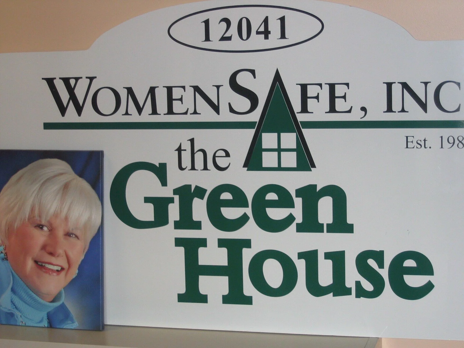 WomenSafe's History — WomenSafe, Inc.