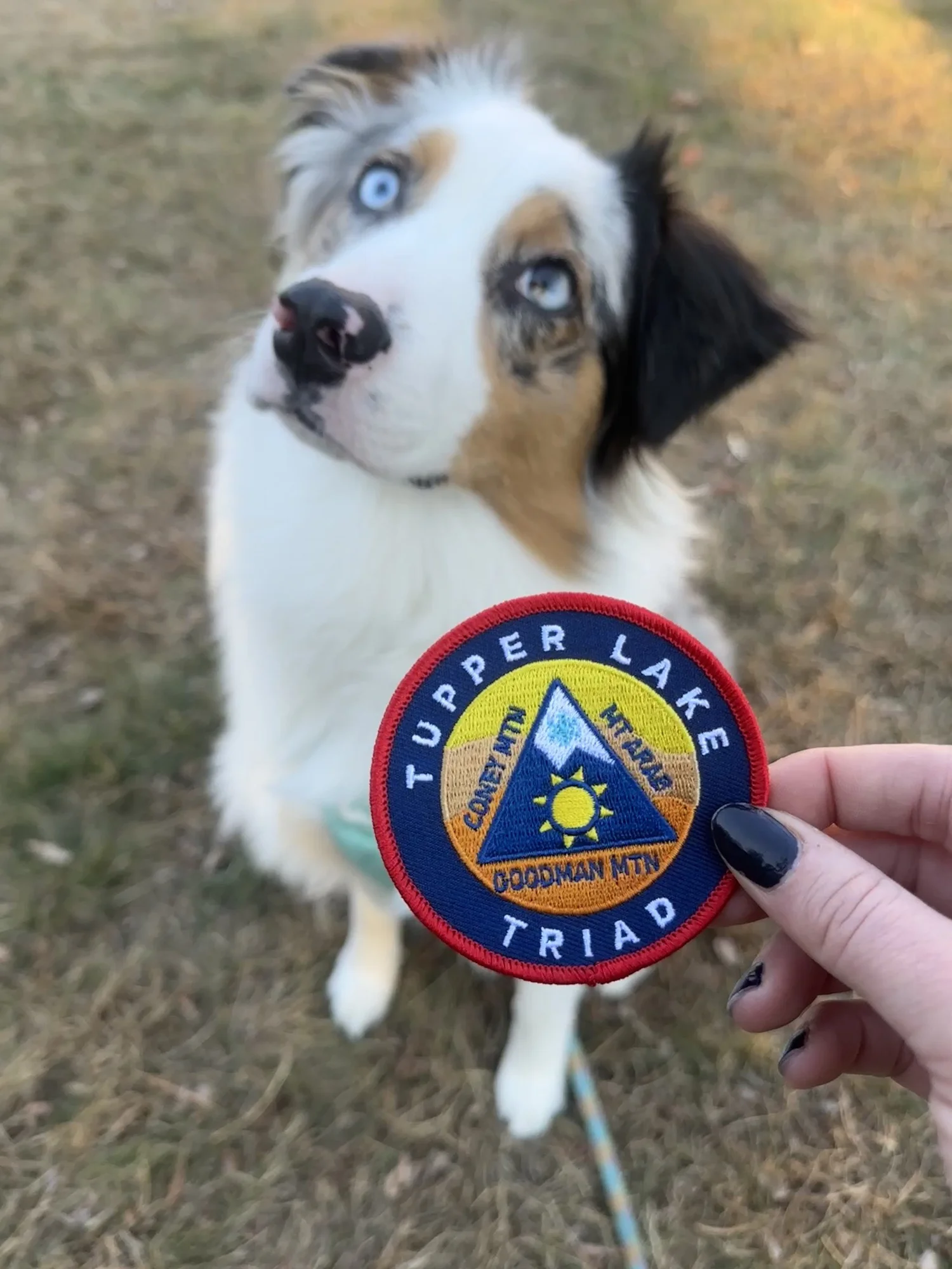Tupper Lake Triad Ultra The Best Beginner Hiking Challenge For Dogs