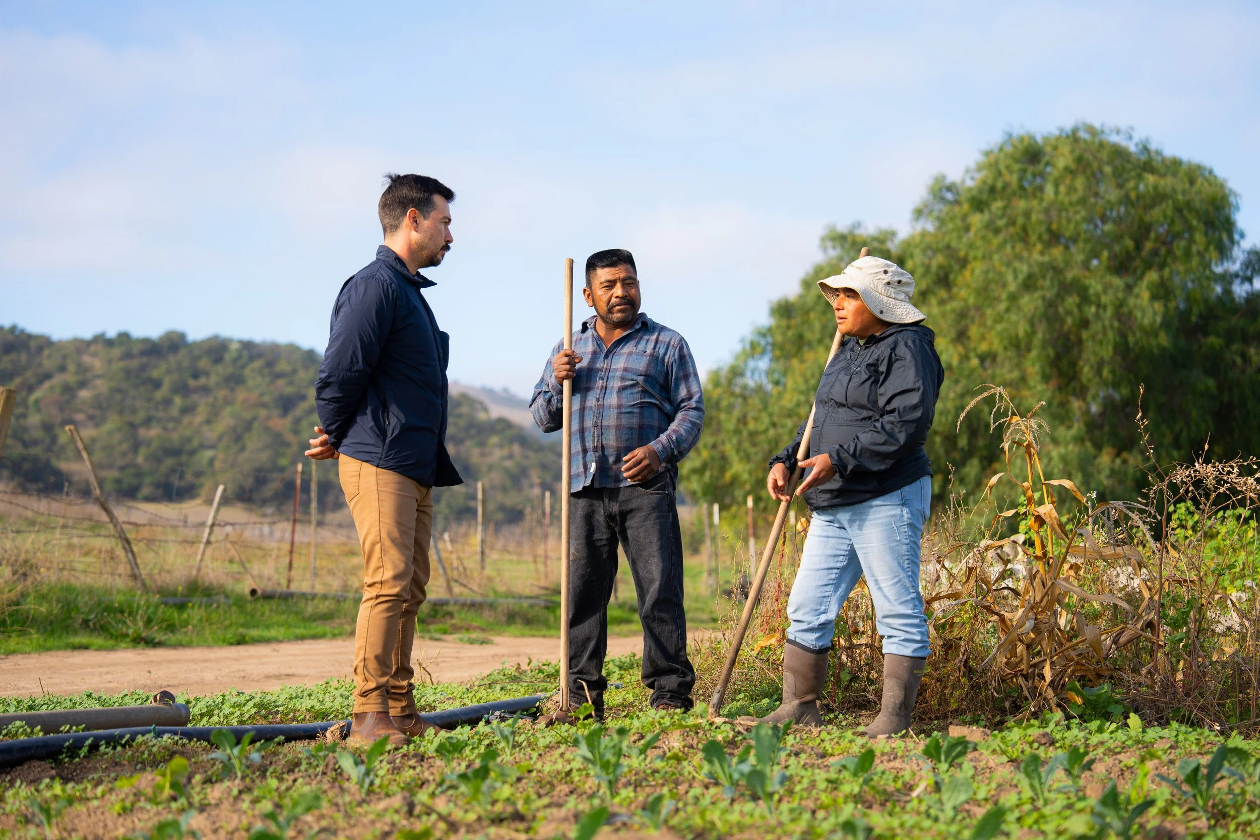 Ventura Organic — Kitchen Table Advisors