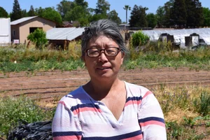 Moua Farm — Kitchen Table Advisors