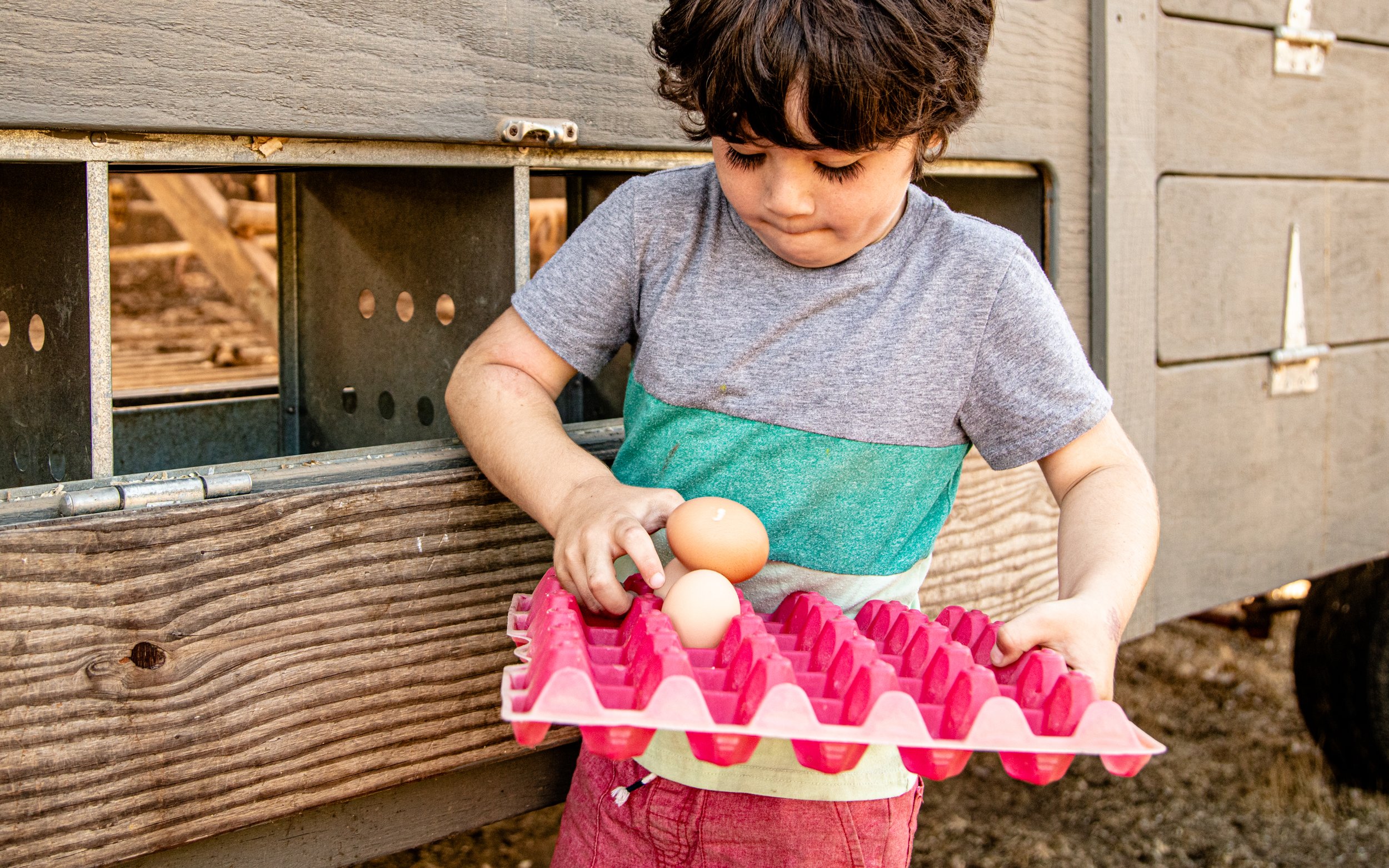 Navigating the Current Economy as a Small Producer — Kitchen Table Advisors