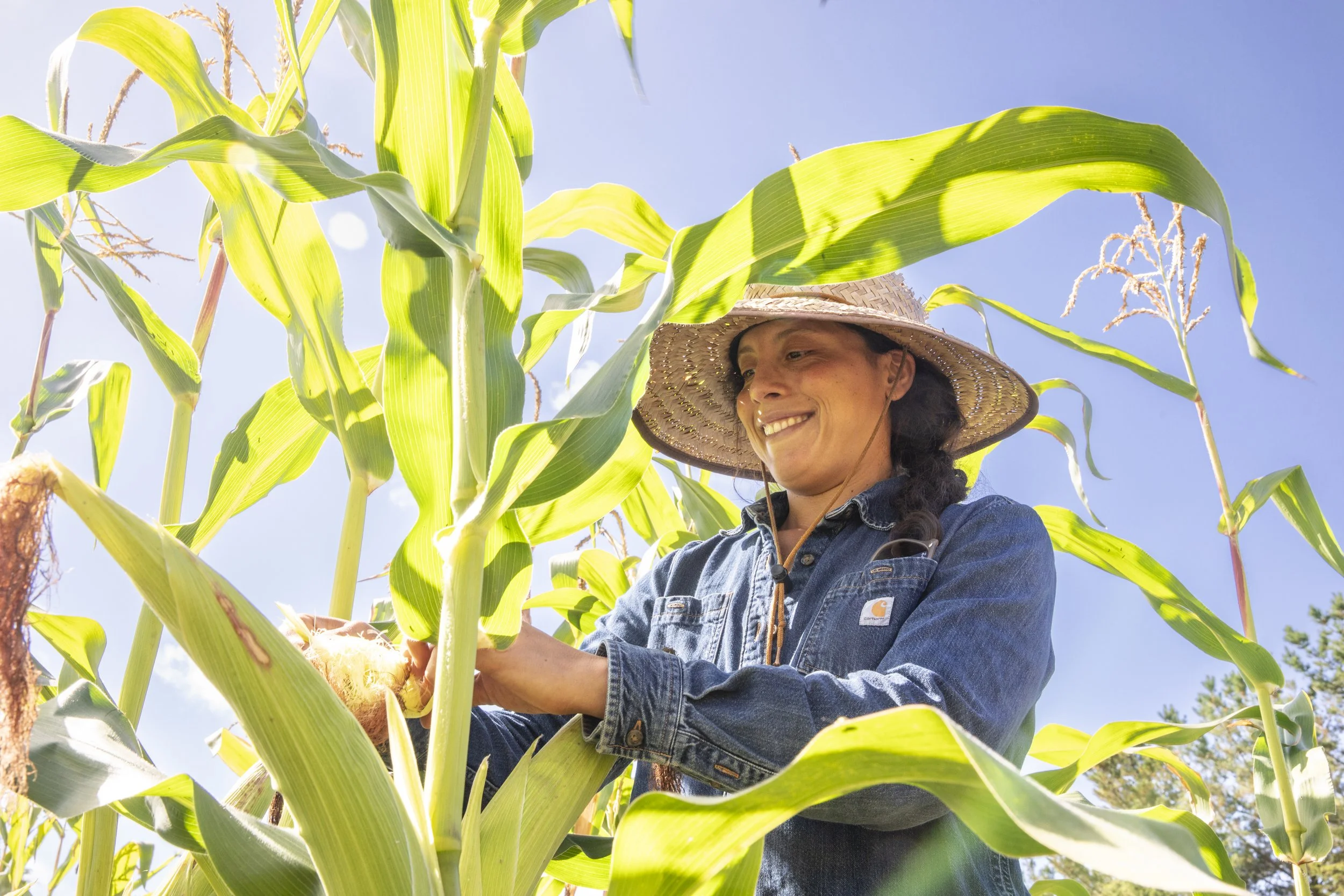 About Us | Kitchen Table Advisors — Kitchen Table Advisors