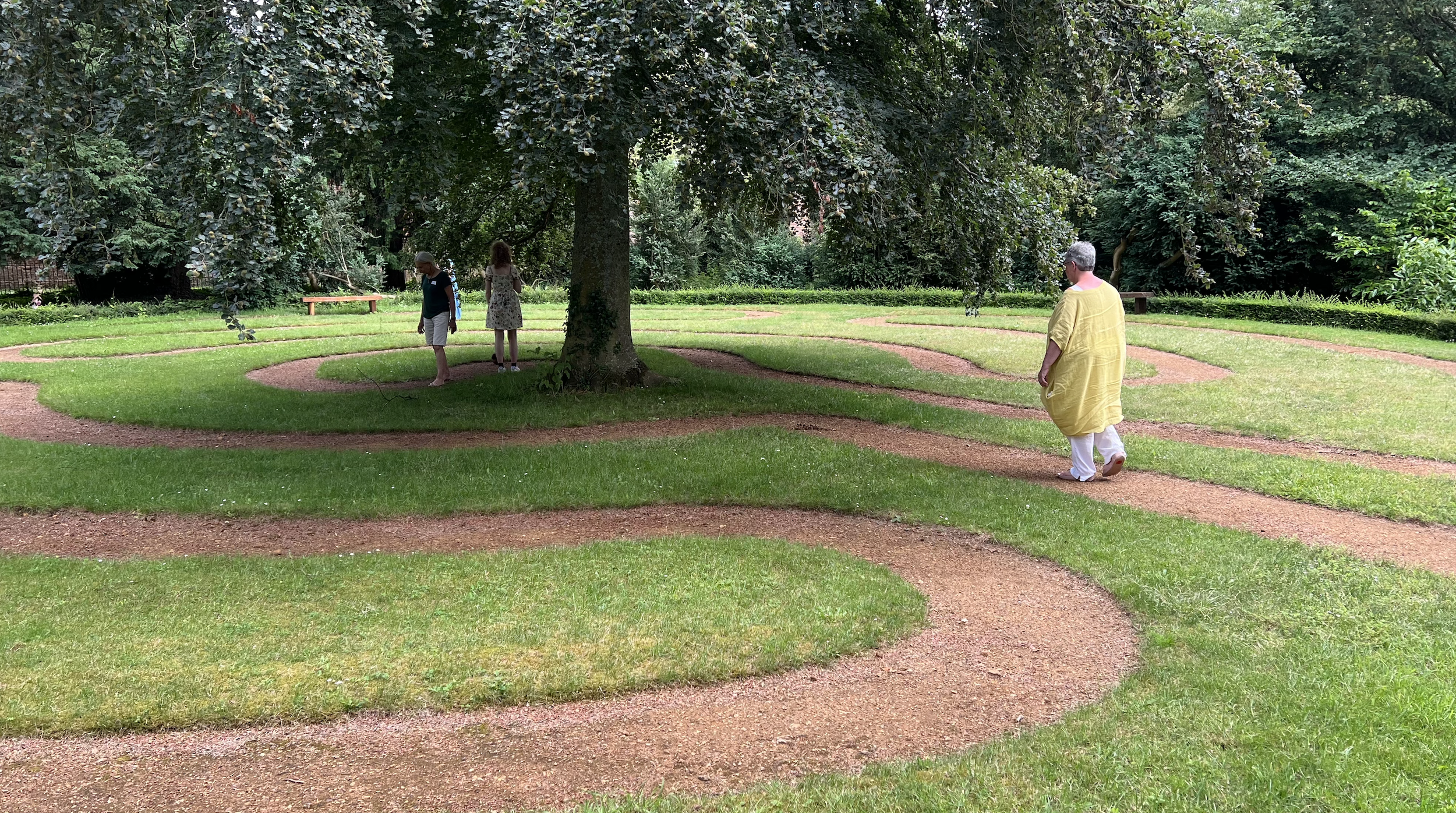 Journey Through Labyrinths: A Personal Tale of Design and Discovery 🌿 ...