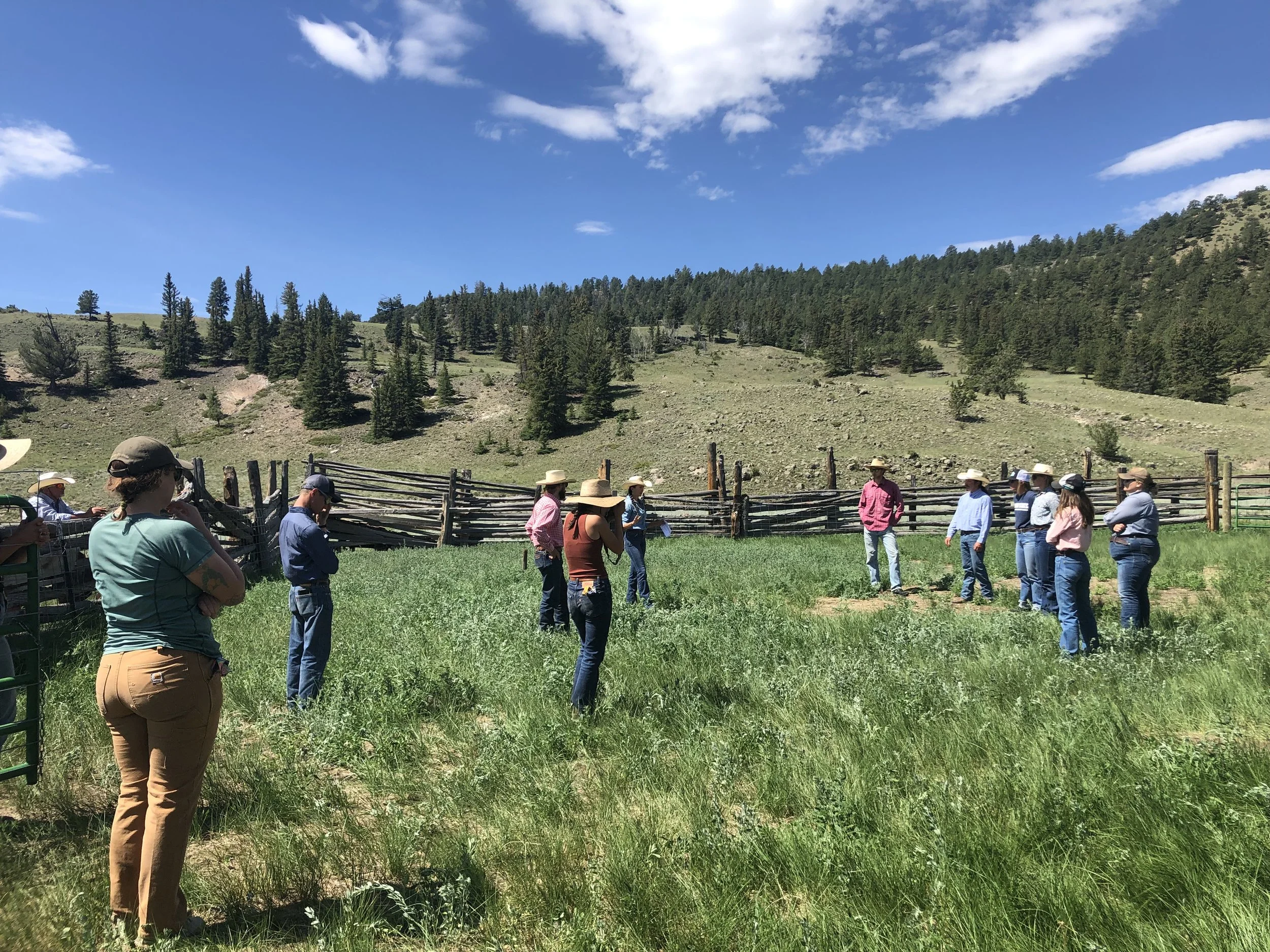 Badger Creek Ranch Community — Badger Creek Ranch