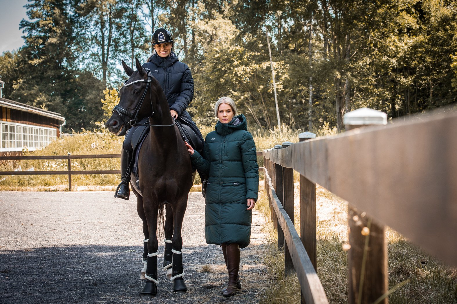 VIP Equestrian Ltd are now distributors for Correct Connect. This ...