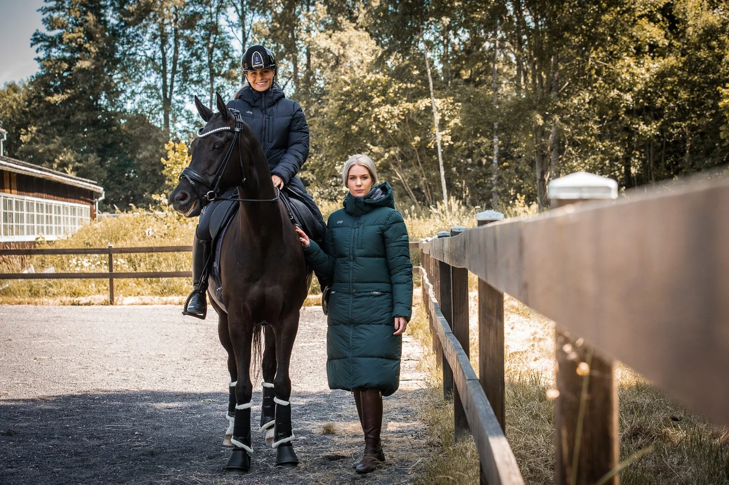VIP Equestrian Ltd are now distributors for Correct Connect. This ...