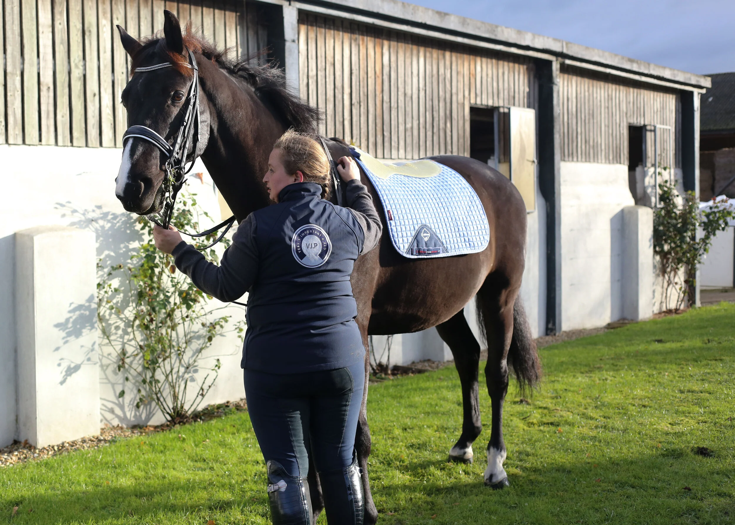 VIP Equestrian Ltd are now distributors for Correct Connect. This ...