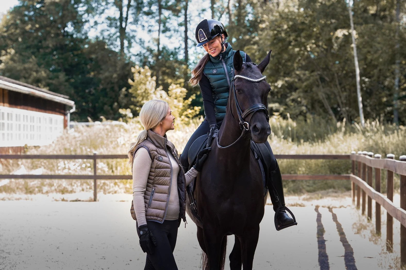 VIP Equestrian Ltd are now distributors for Correct Connect. This ...