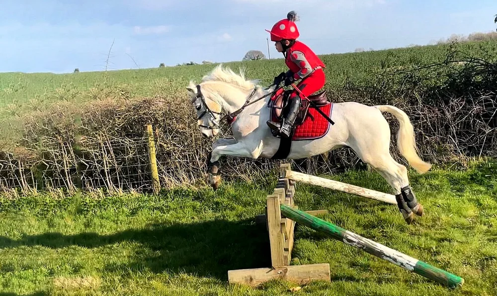 VIP Equestrian Ltd are now distributors for Correct Connect. This ...