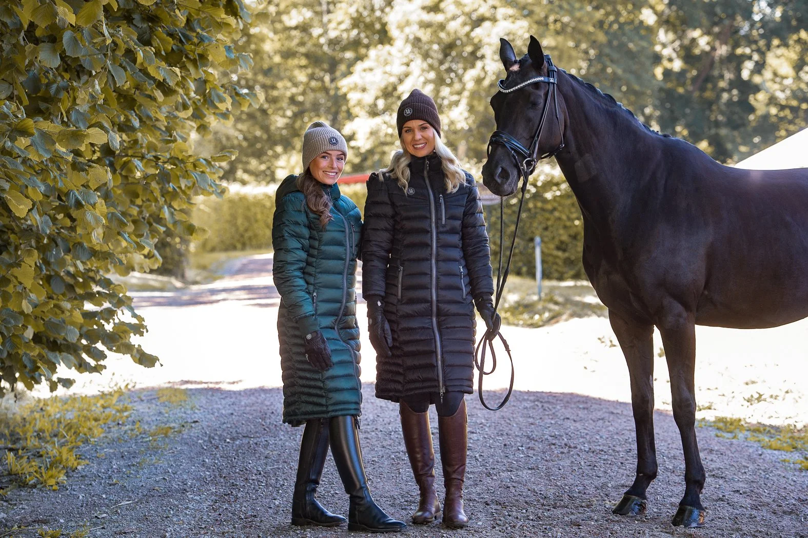 VIP Equestrian Ltd are now distributors for Correct Connect. This ...