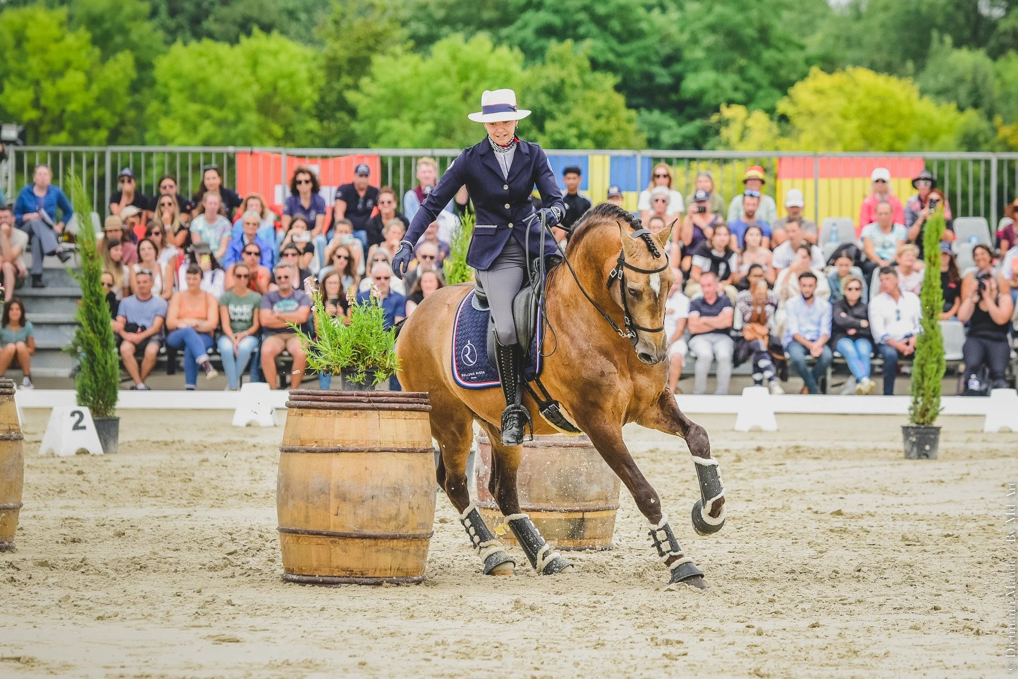 VIP Equestrian Ltd are now distributors for Correct Connect. This ...