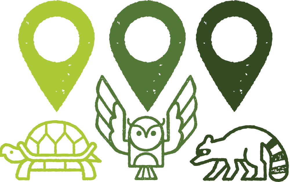 Forest Park Living Lab