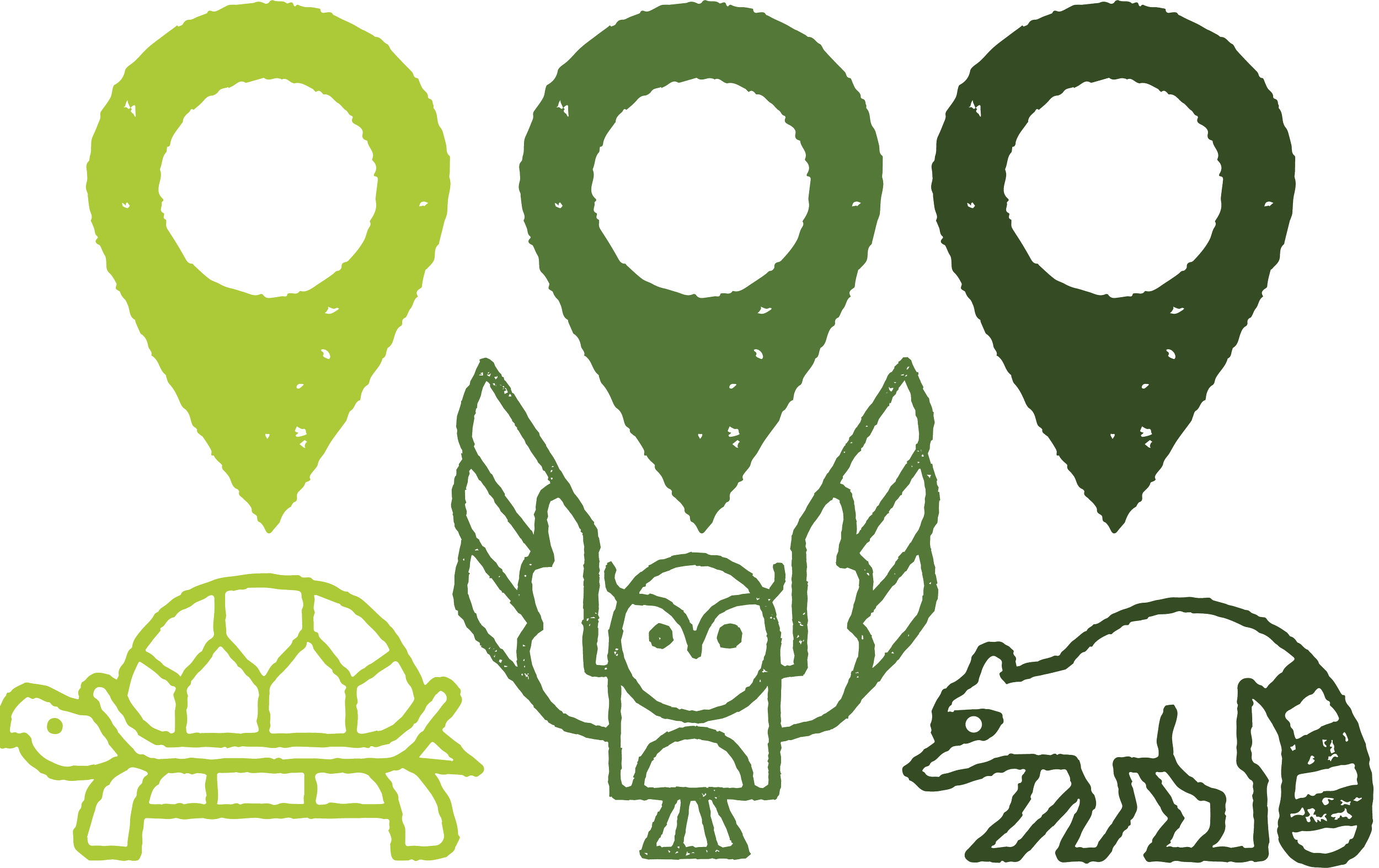 Great Horned Owl — Forest Park Living Lab