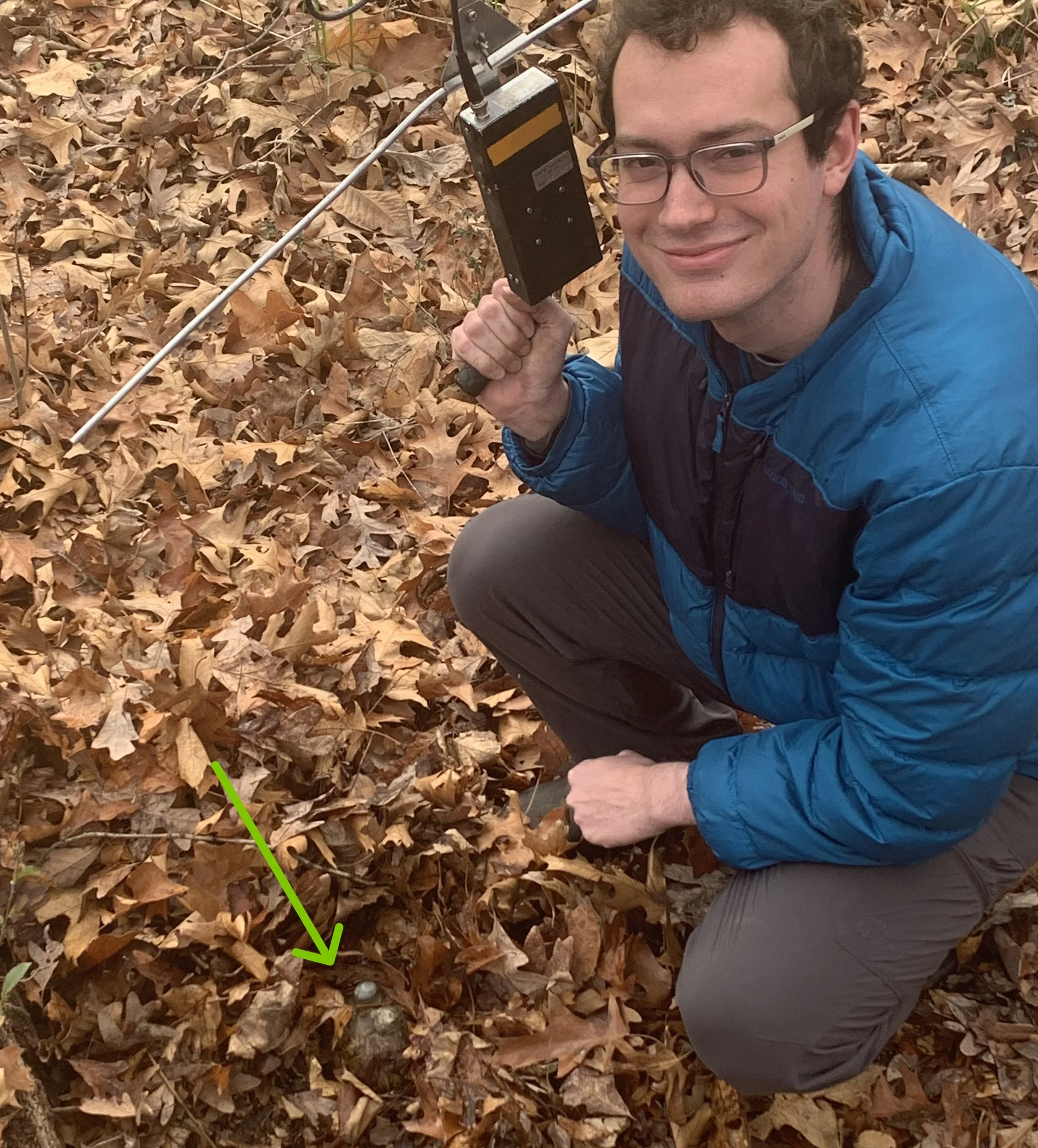Turtles make their first appearance! — Forest Park Living Lab