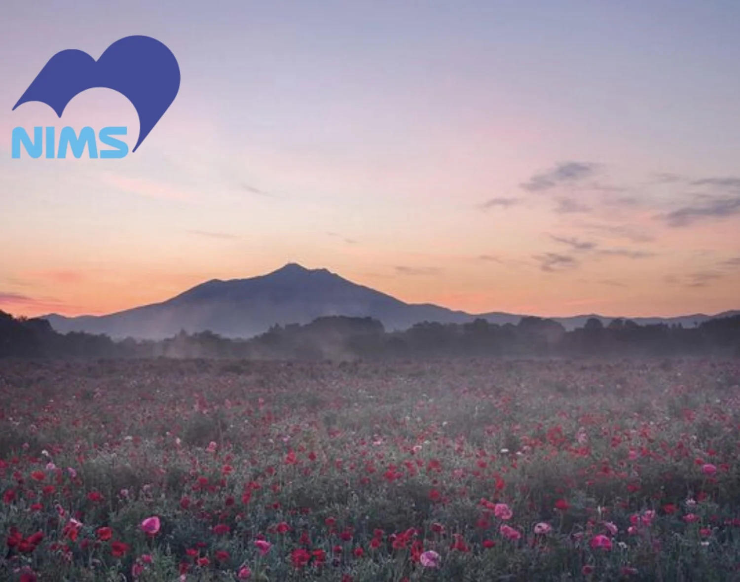 IRTE — Global Quantum Leap