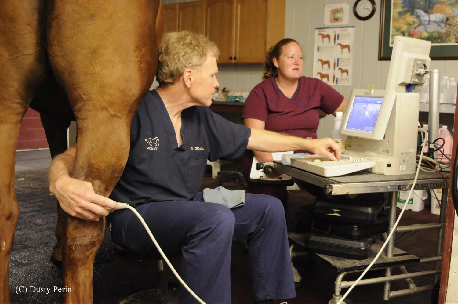 Sports Medicine Myhre Equine Clinic