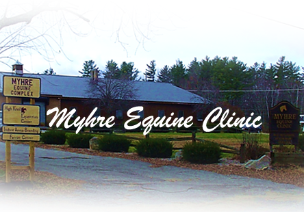 News Events Myhre Equine Clinic
