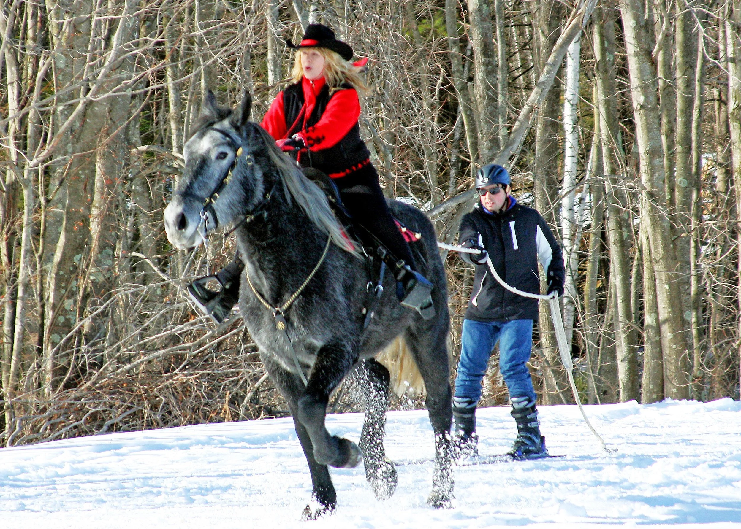 Our Staff — Myhre Equine Clinic