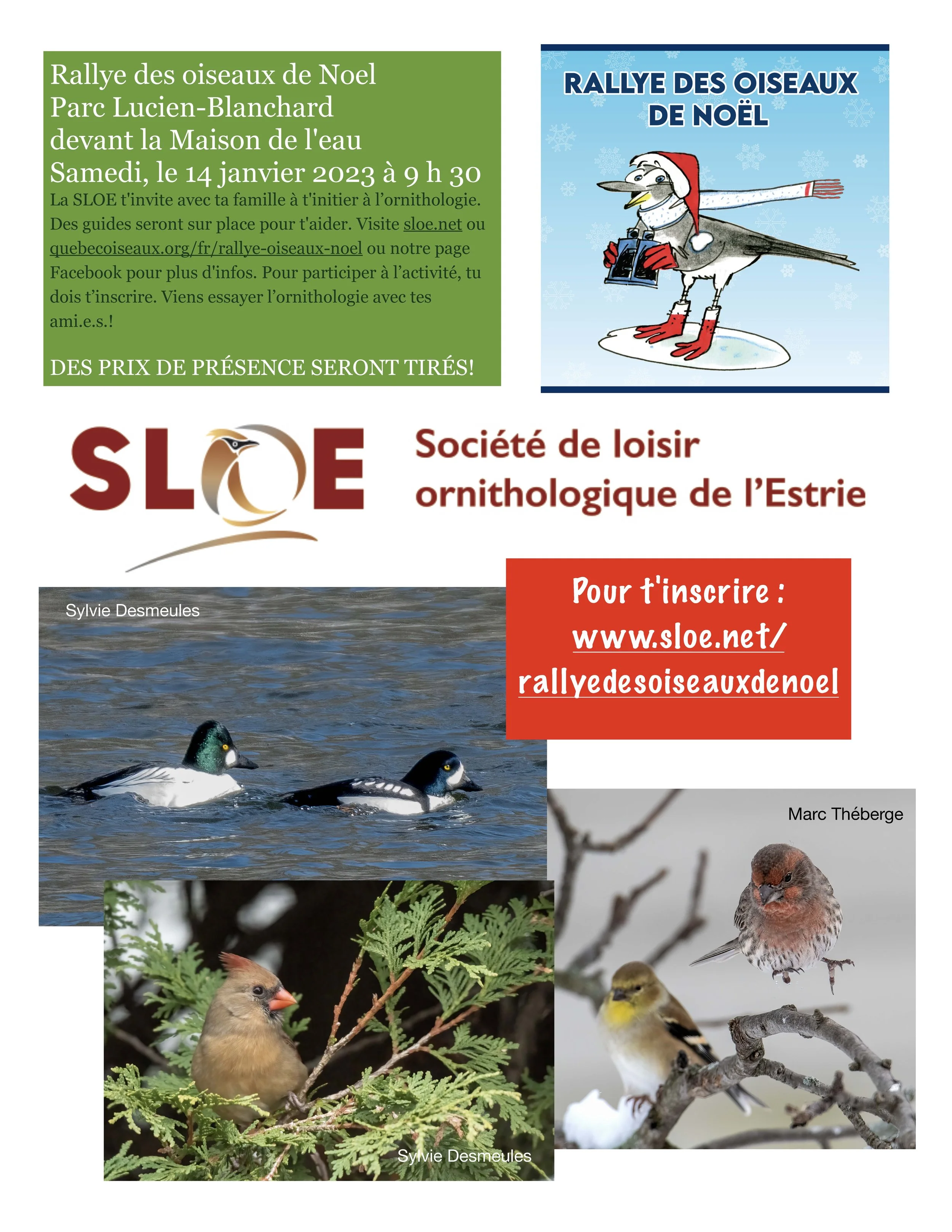 Rallye des oiseaux de Noël - COMPLET — LA SLOE