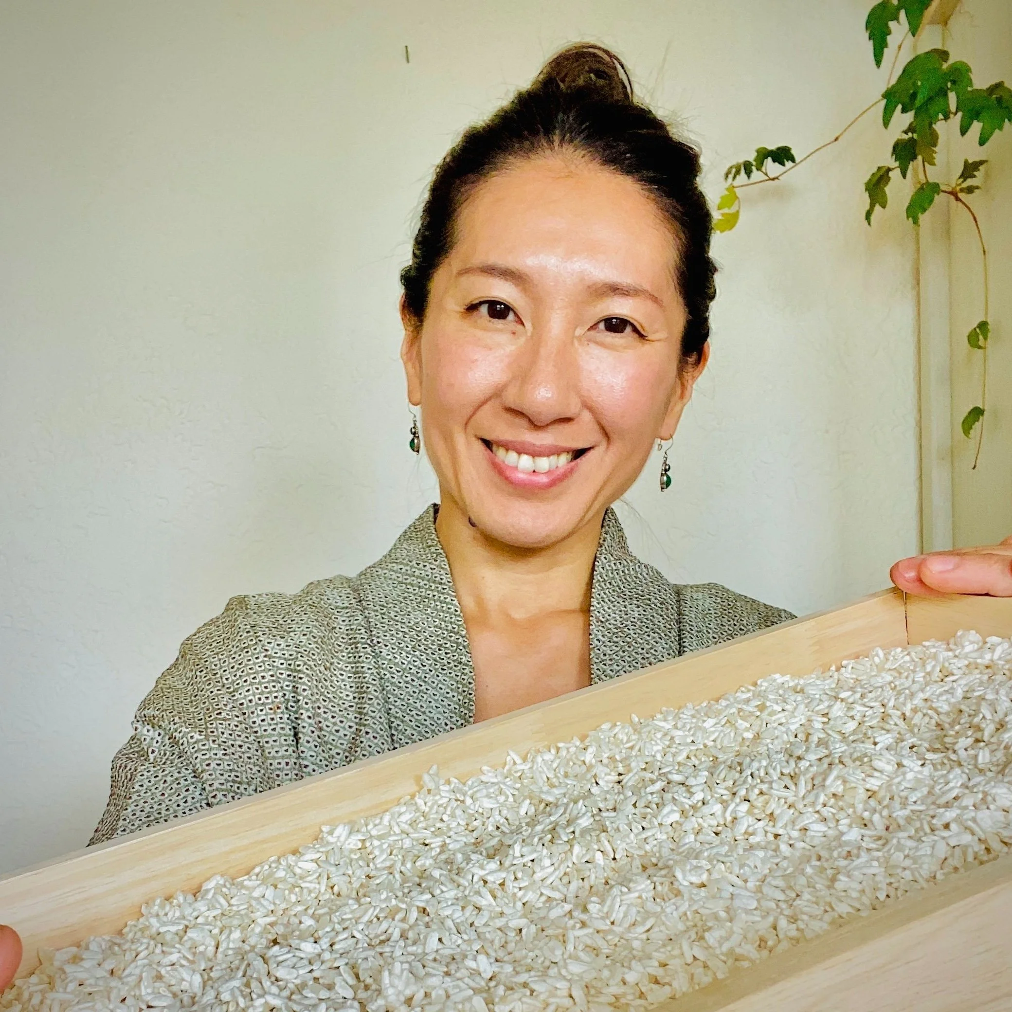 Newsletter (cozy koji community) — COZY KOJI