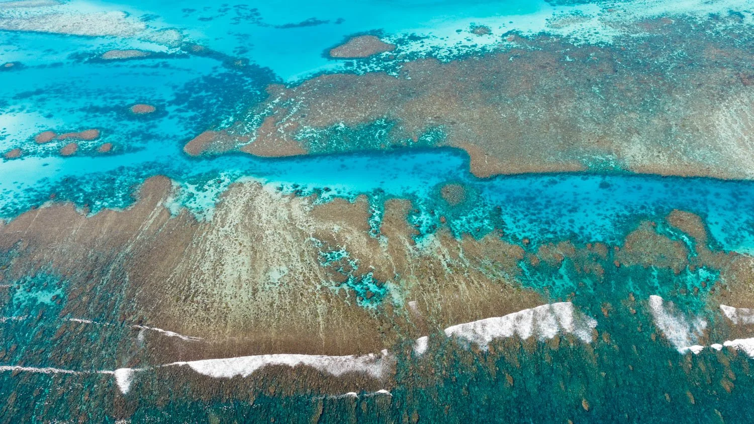 Ningaloo Reef Series Prints — Blue Media Exmouth