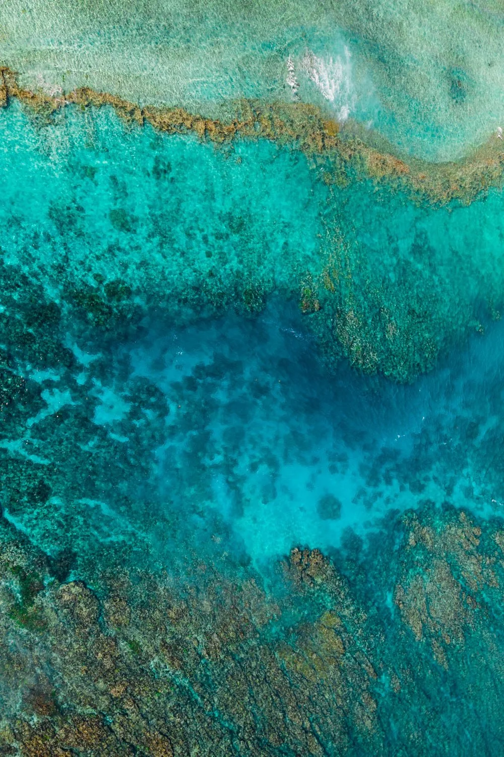 Ningaloo Reef Series Prints — Blue Media Exmouth