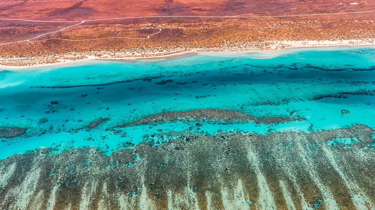 Ningaloo Reef Series Prints — Blue Media Exmouth