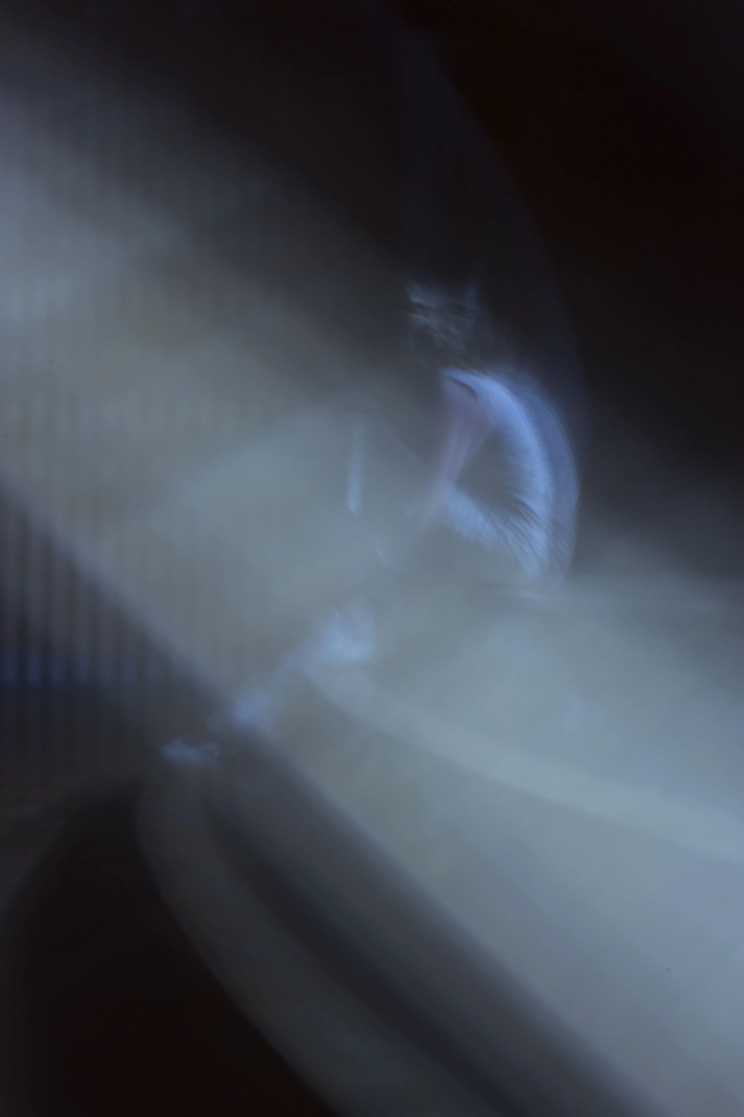 Laura Skog Photography