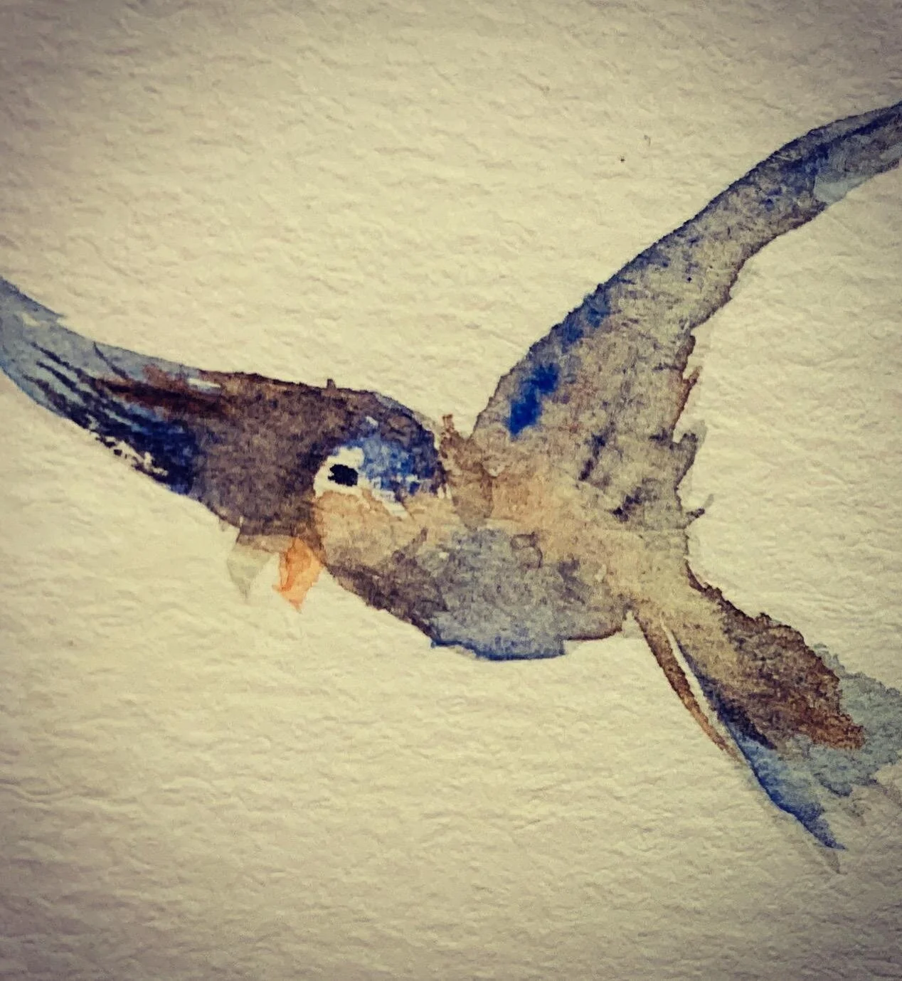 Christina Rauh Fishburne