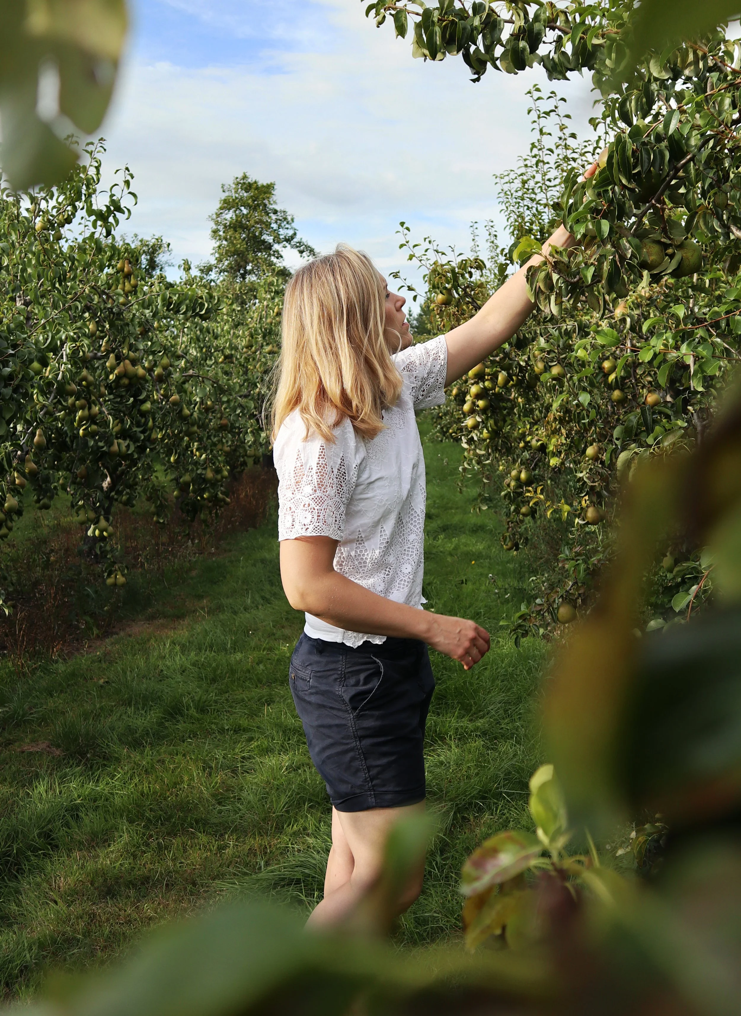 Ginger & Juice Norfolk based Caterer and Preserver