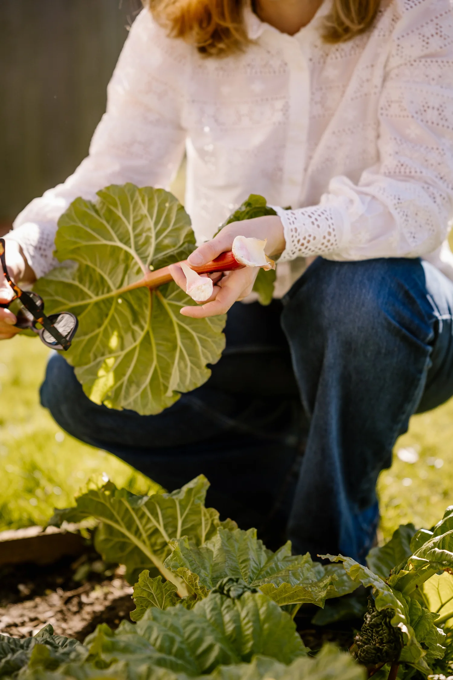 Ginger & Juice Norfolk based Cook, Baker and small event caterer