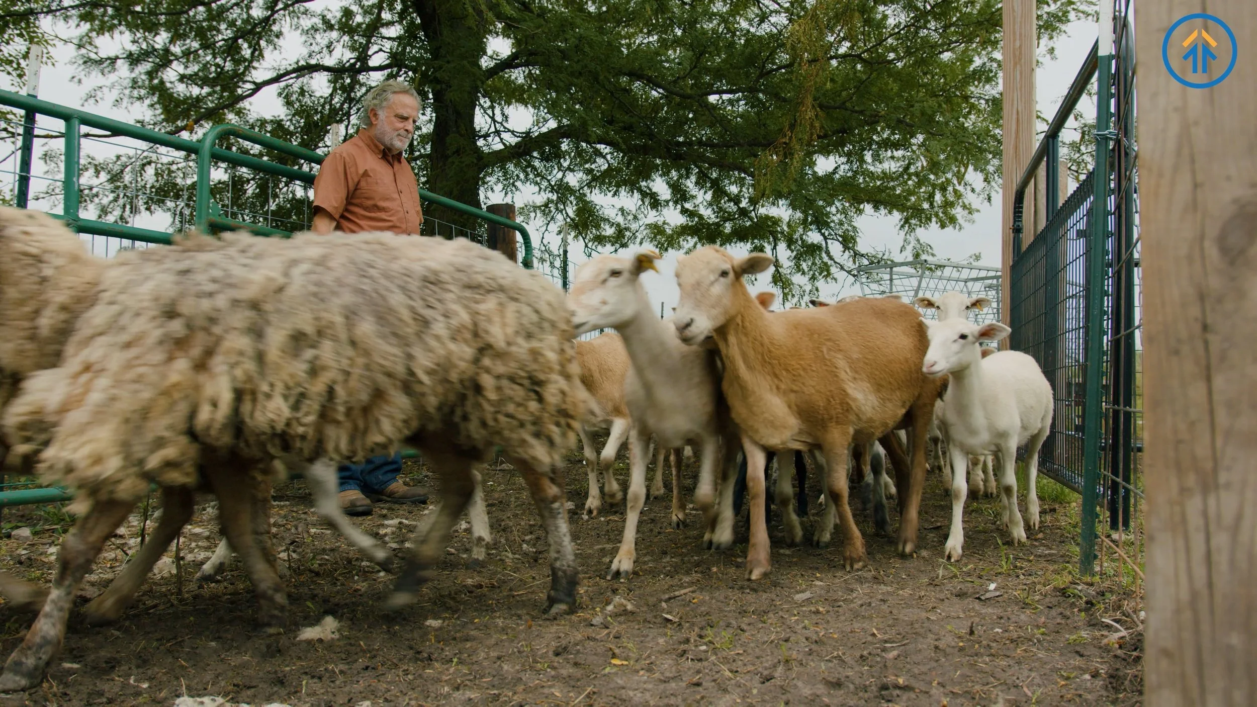 Farm Action - Why We Fight — Nathan.works - Digital Storytelling for a ...