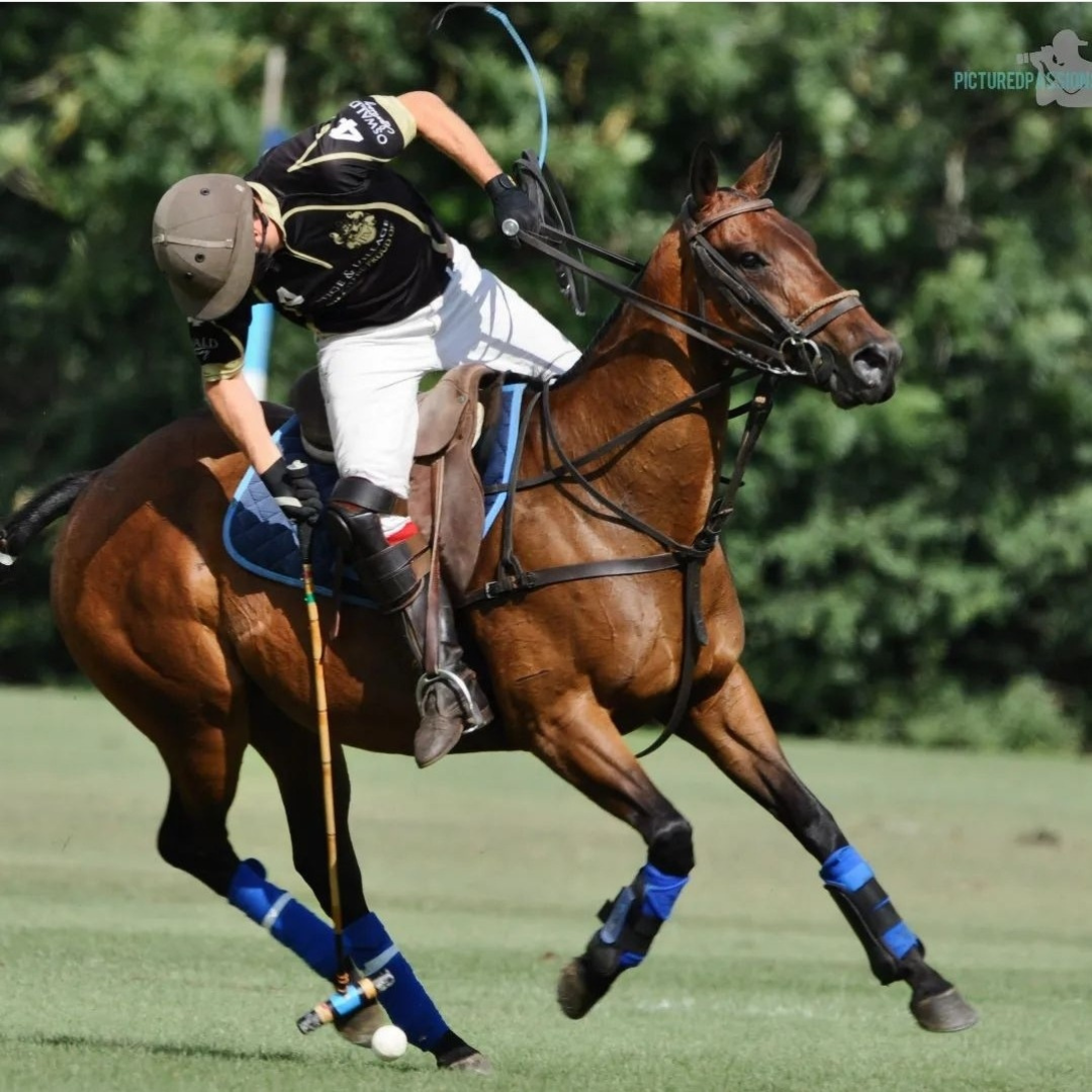 SILVER LEYS POLO CLUB