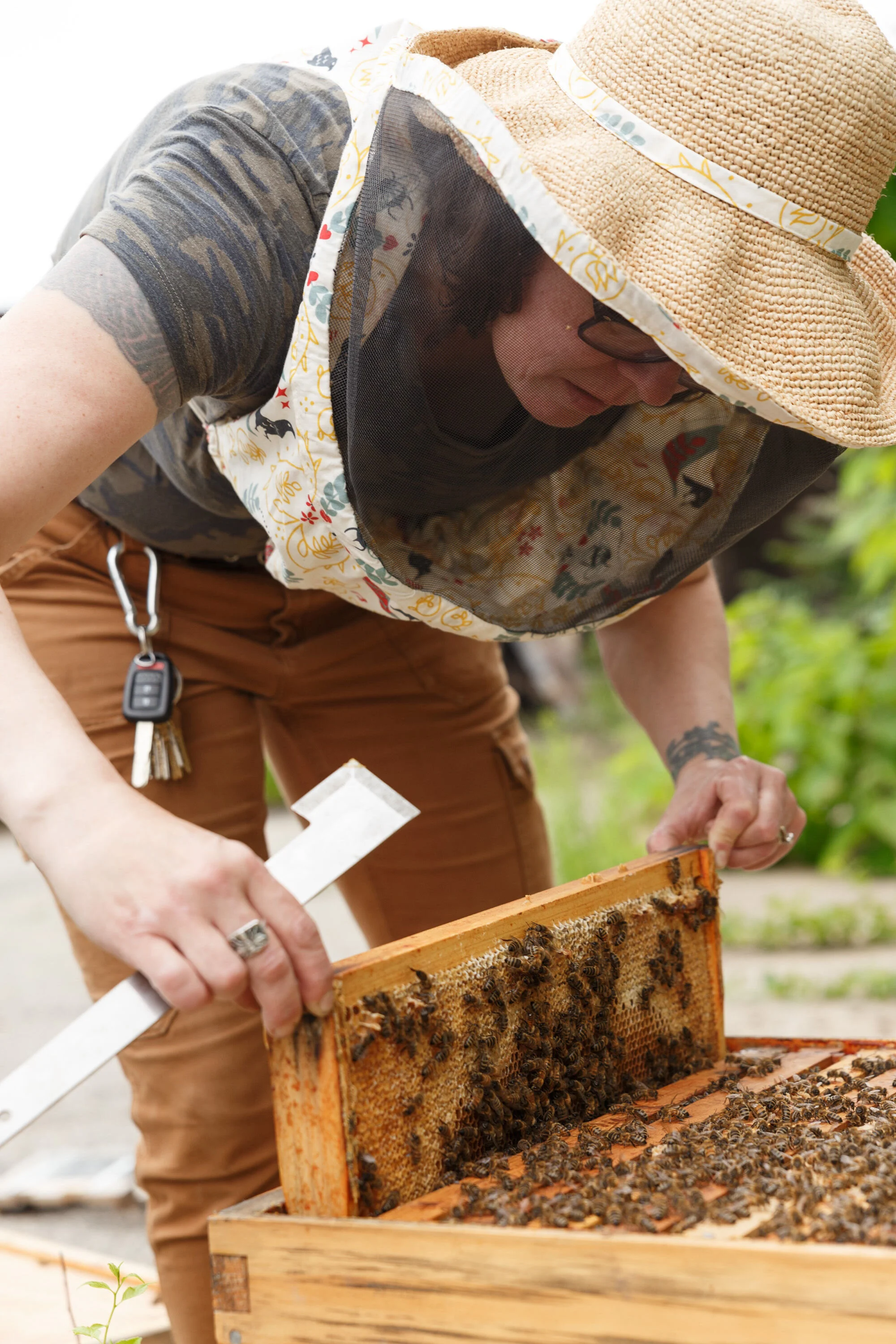Little Rhody Beekeeping