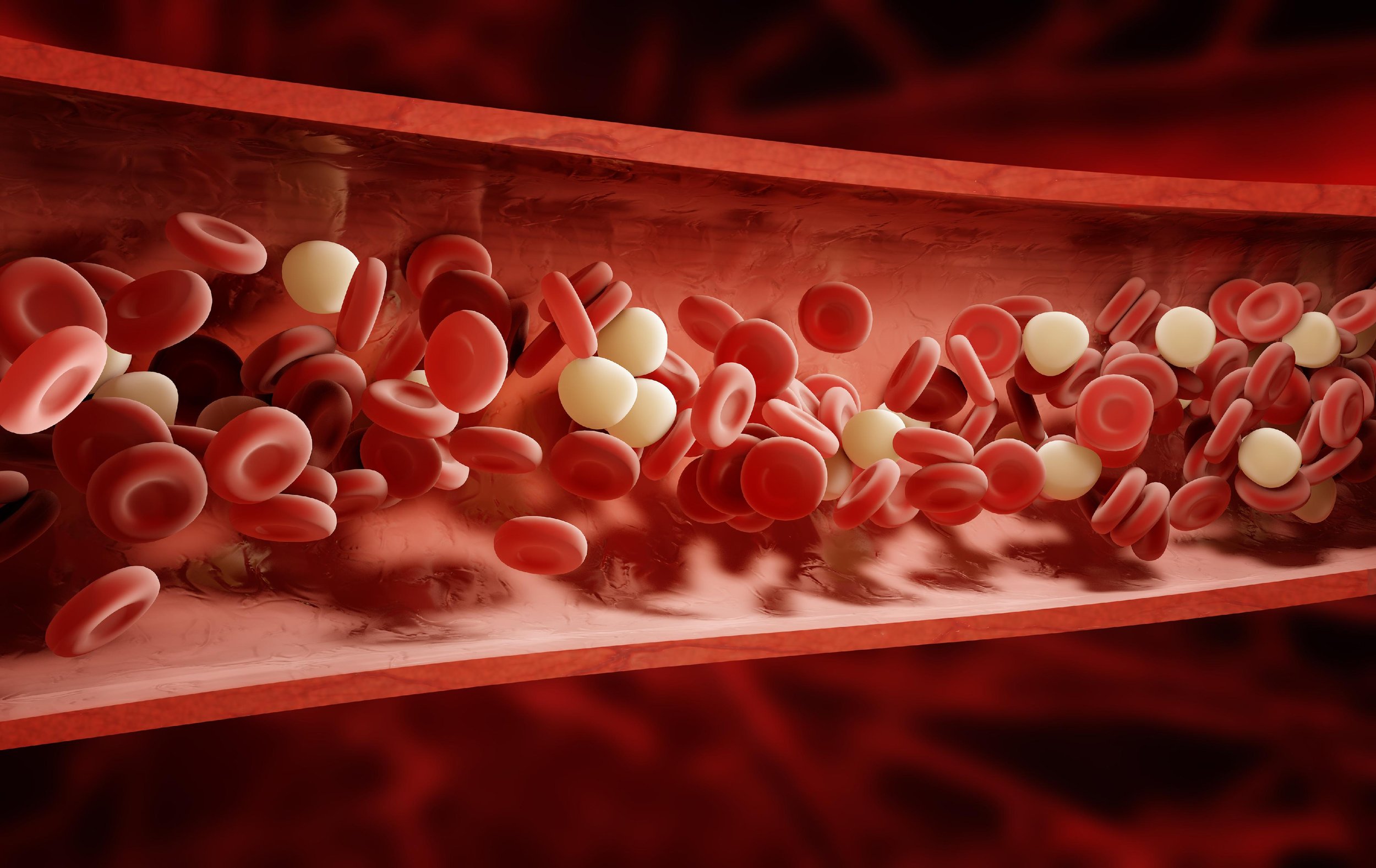 Fluid Dynamics of the Human Body | Resolved Analytics