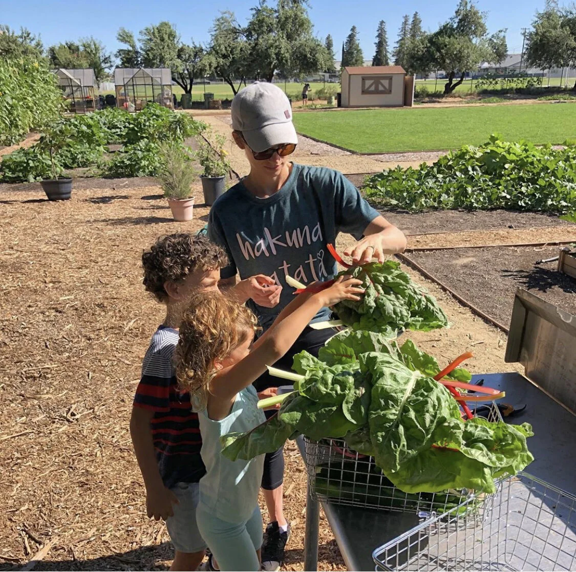 Support — Garden Joy