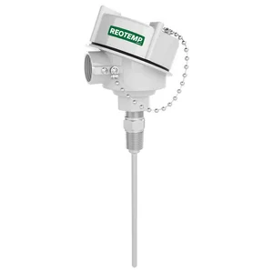 REOTEMP Instruments — Total Flow Control