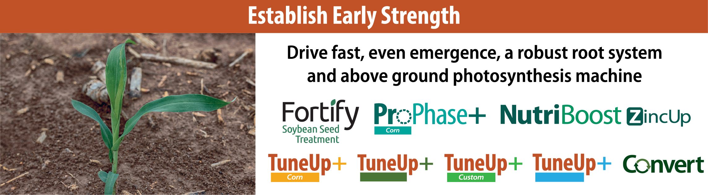 Streamline Ag — Rob-See-Co