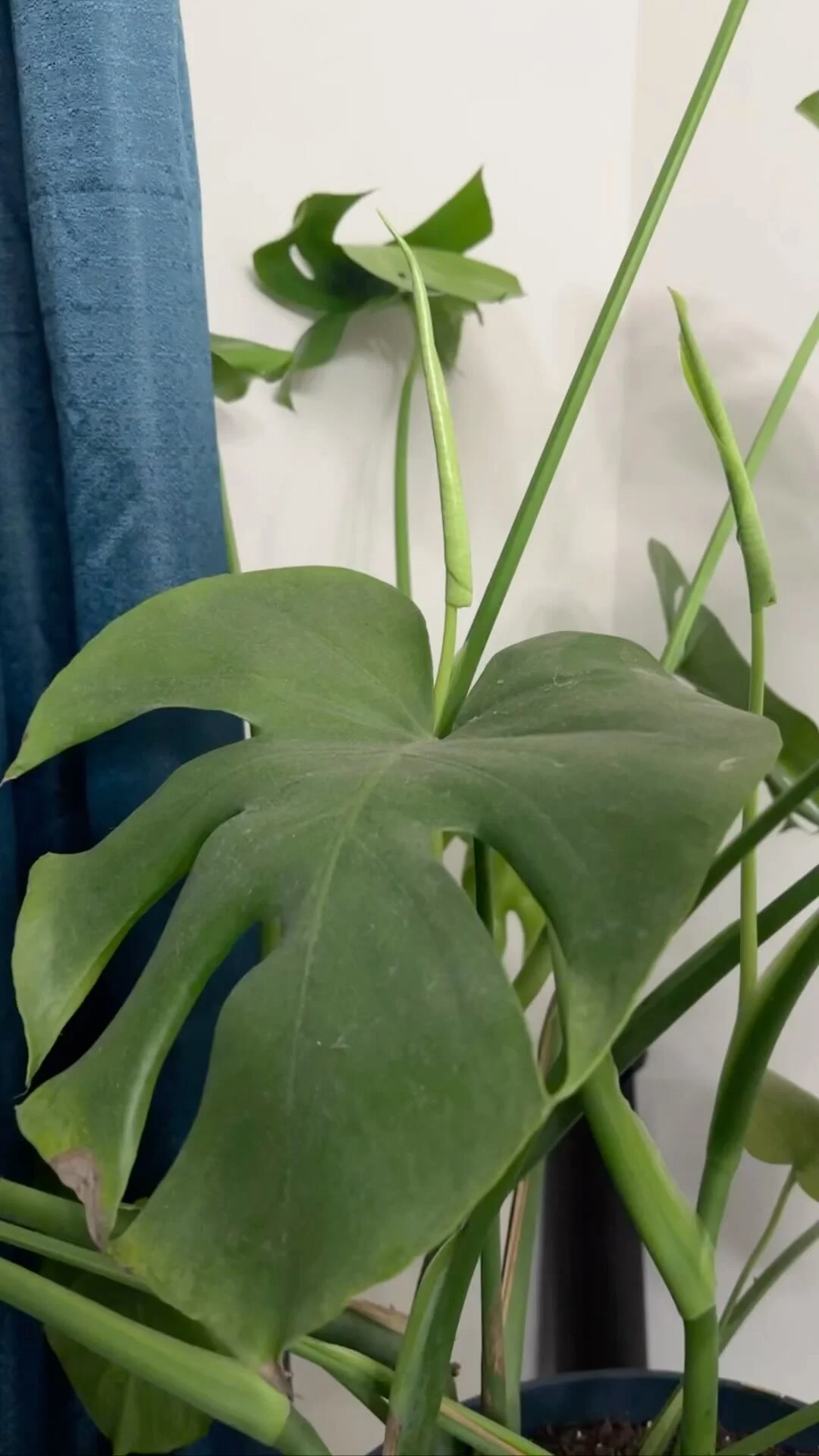 Dustin Young Creations | Artworks