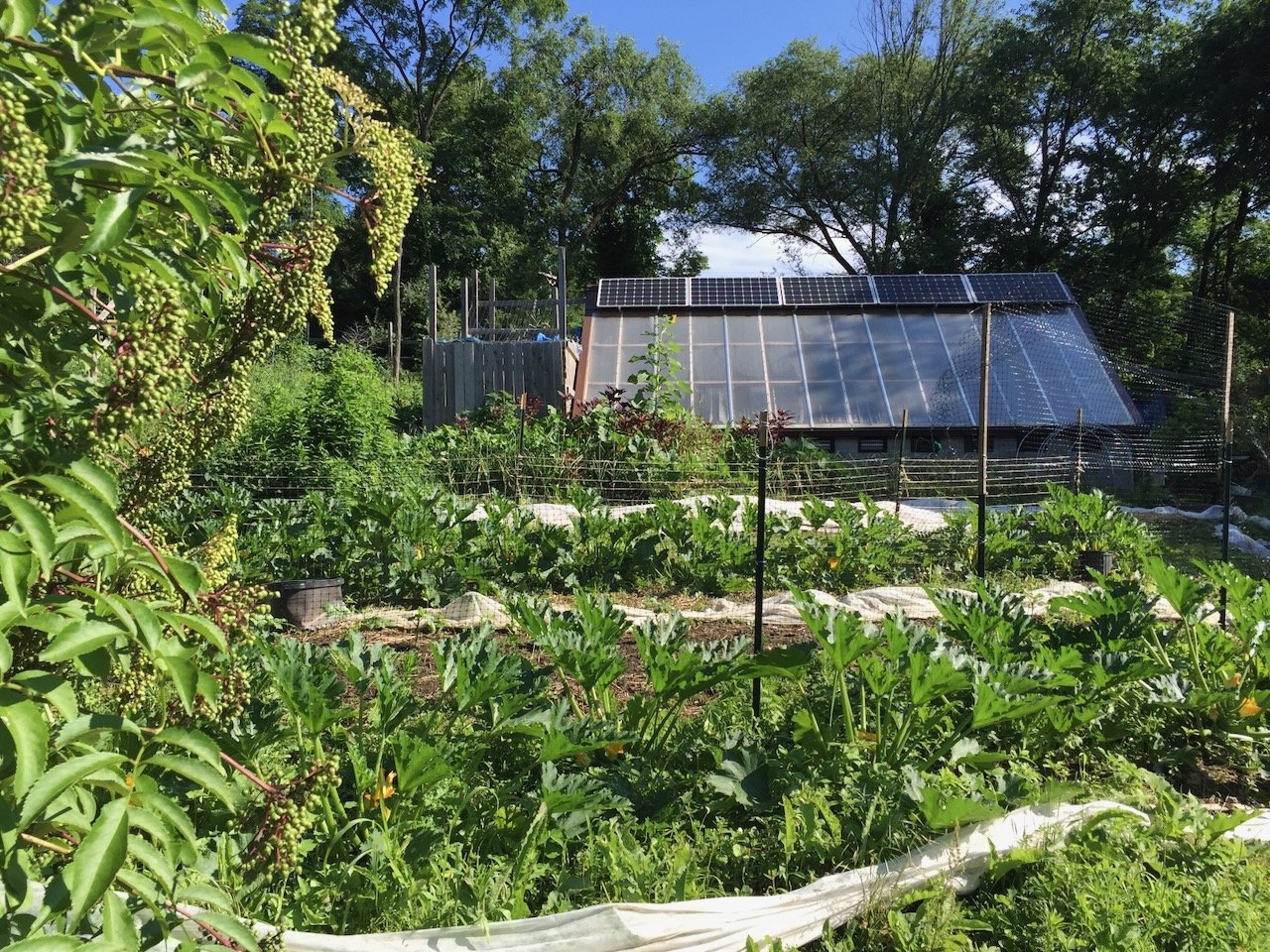 Garfield Community Farm