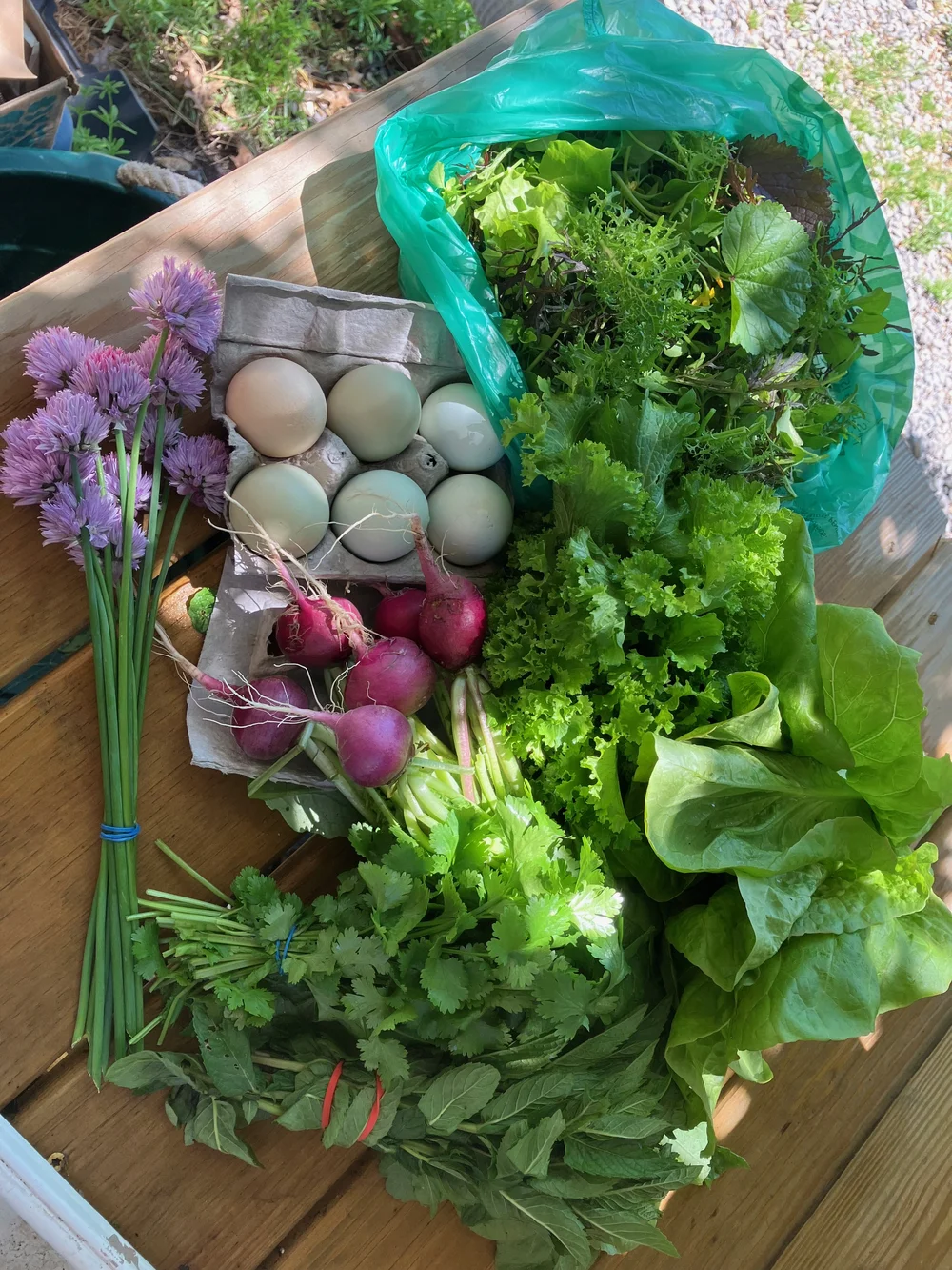 Garfield Community Farm